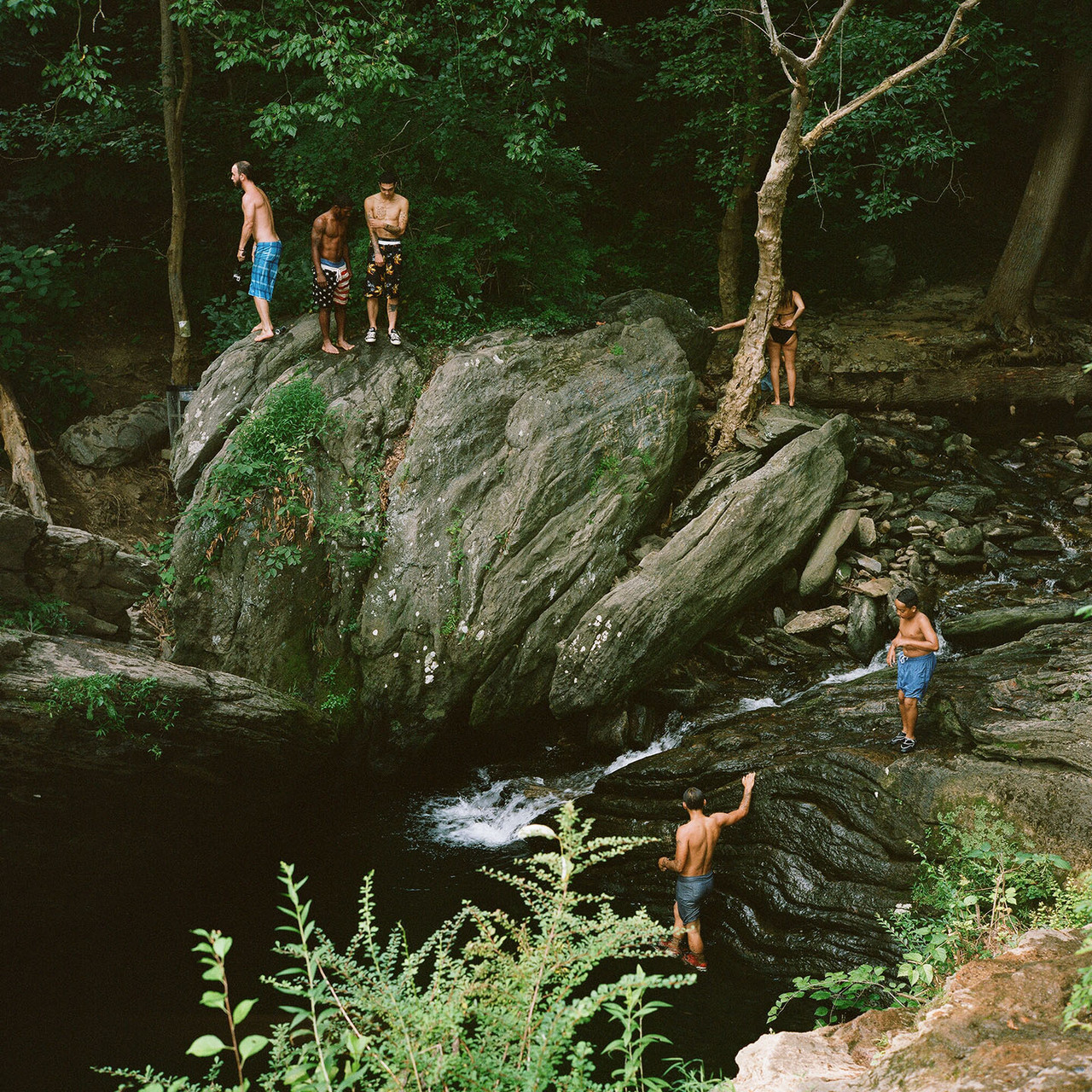 Devil's Pool Stone Tree | Pennsylvania Convention Center Art